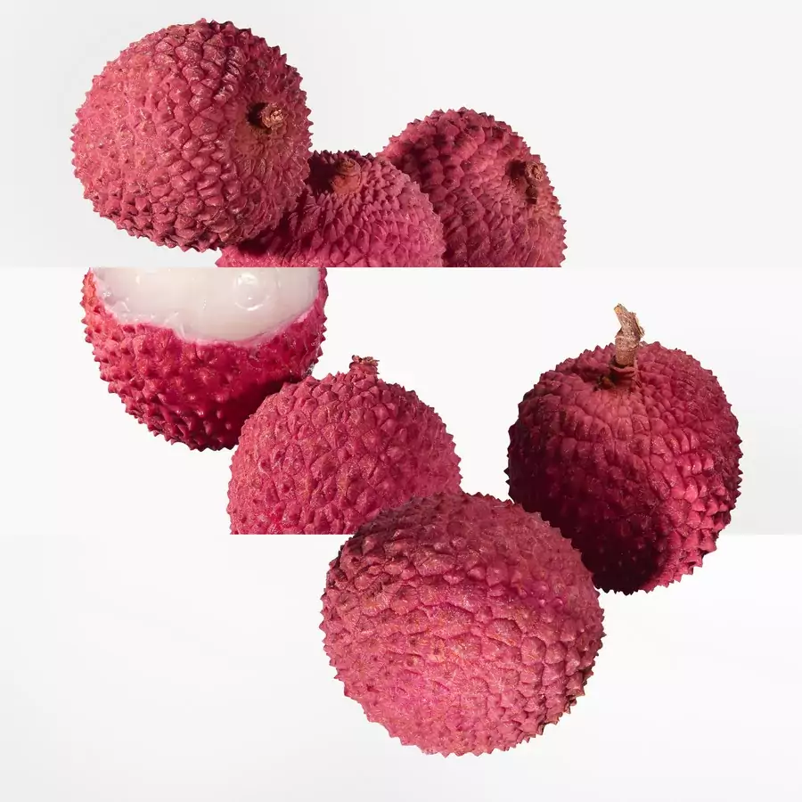 TUTTI TWILLY D’HERMÈS: BẢN SẮC CỦA NỮ TÍNH - Tamson